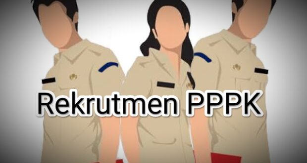 Alokasi 50 Formasi, Berikut Alur dan Panduan Pendaftaran PPPK di SSCASN ...